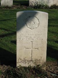 Photograph of the final resting place of Cosgrove, Edward Charles - The ...